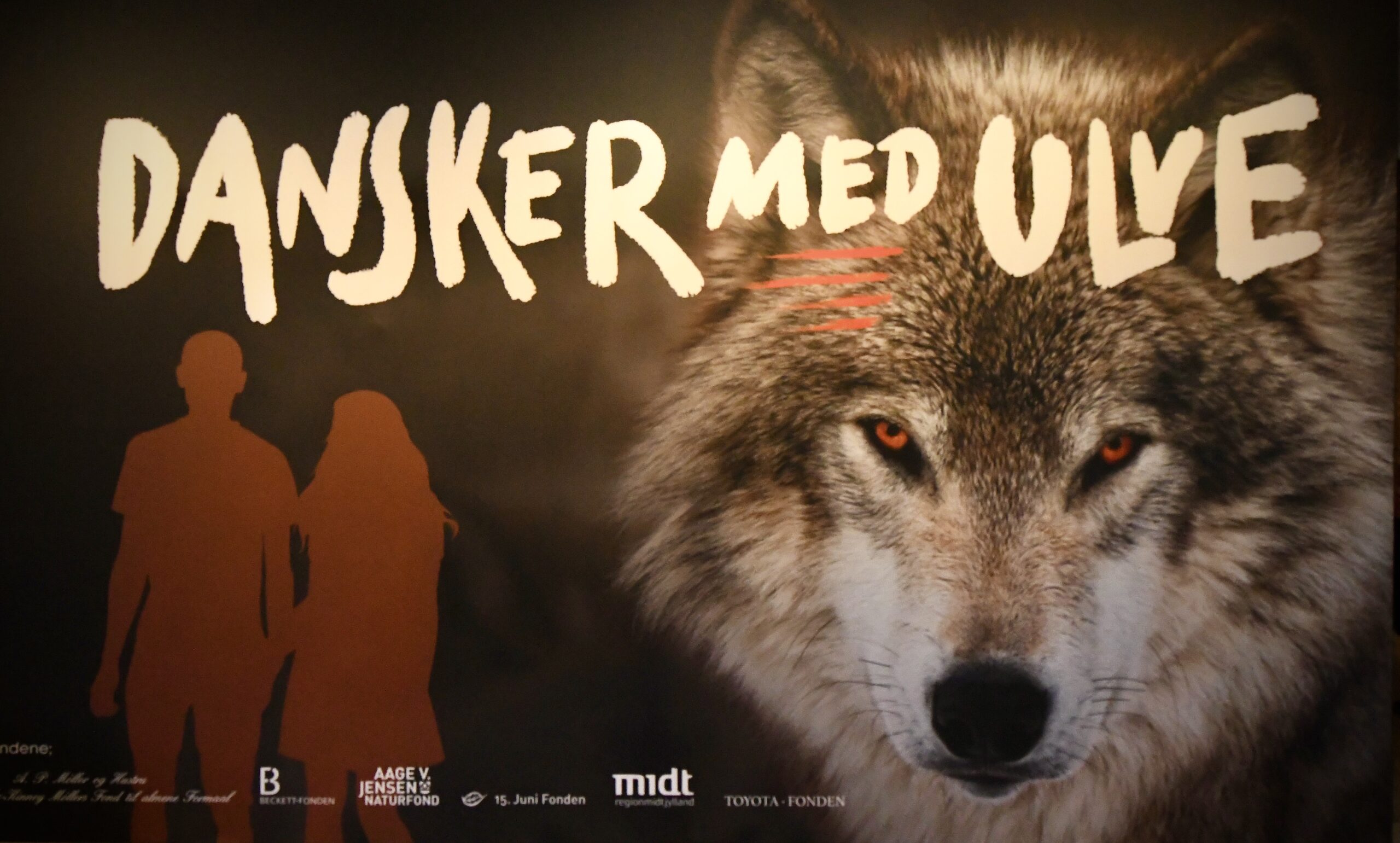 Rundetaarn: DANSKER MED ULVE - KULTURINFORMATION AKTUELT