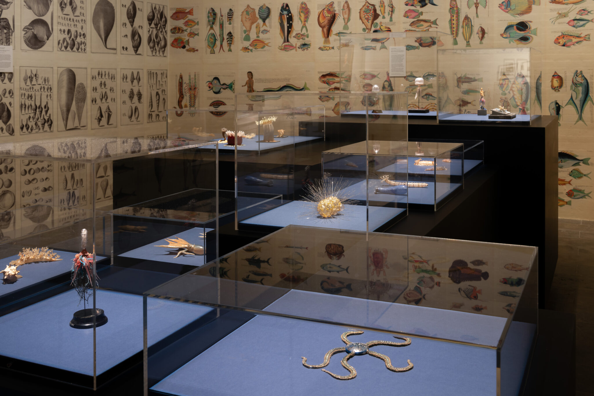 DEN RØDE TRÅD – 50 år med Shu-bi-dua - KULTURINFORMATION Musik