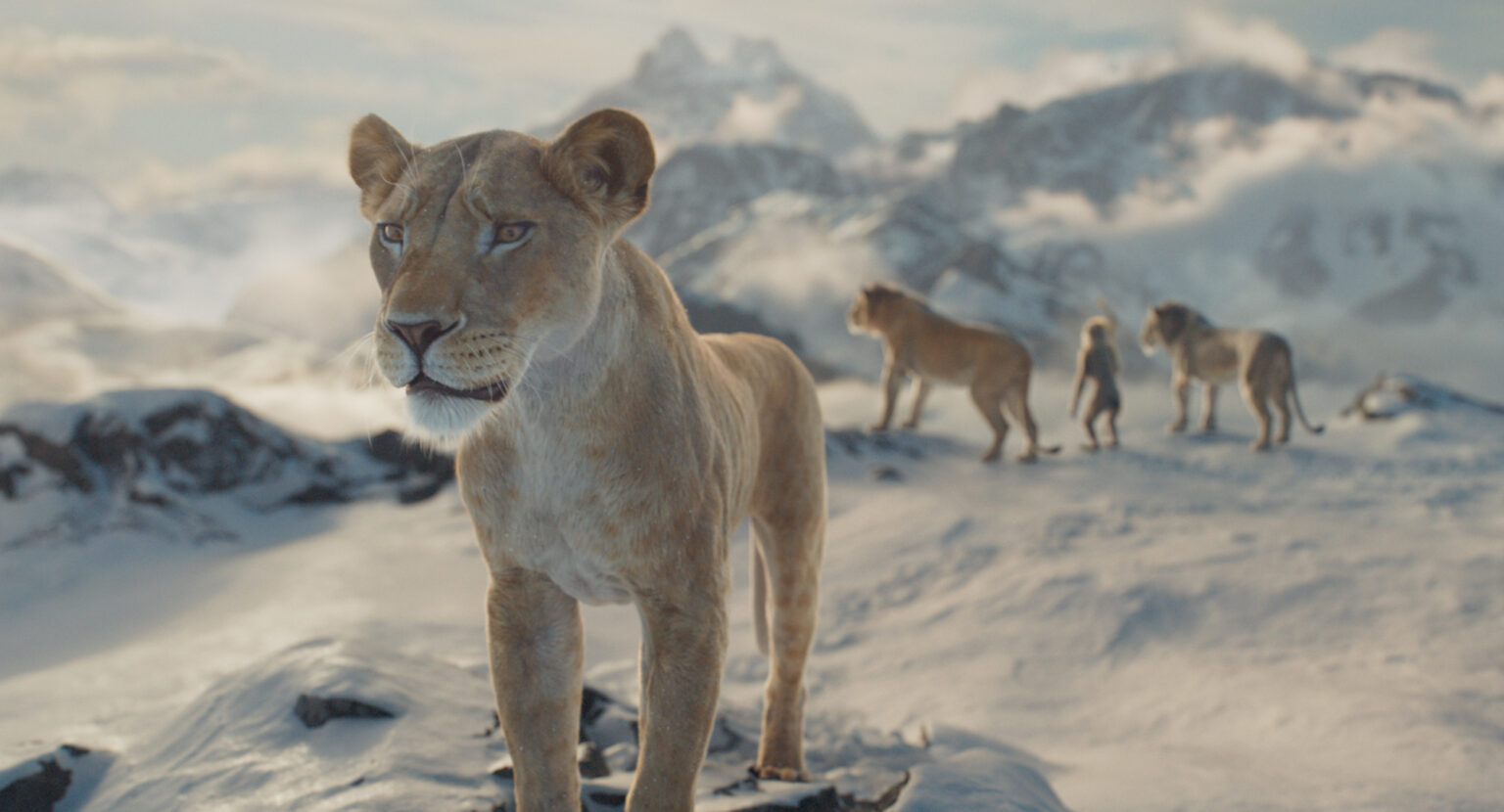 MUFASA: Løvernes konge - KULTURINFORMATION