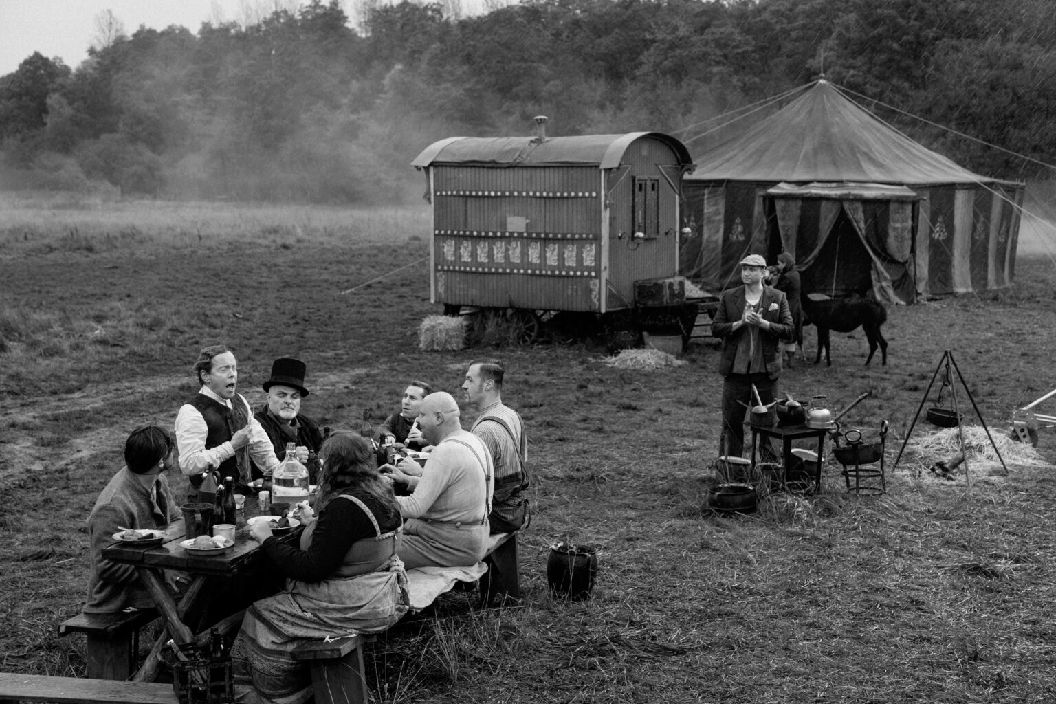 Anmeldelse: PIGEN MED NÅLEN - KULTURINFORMATION