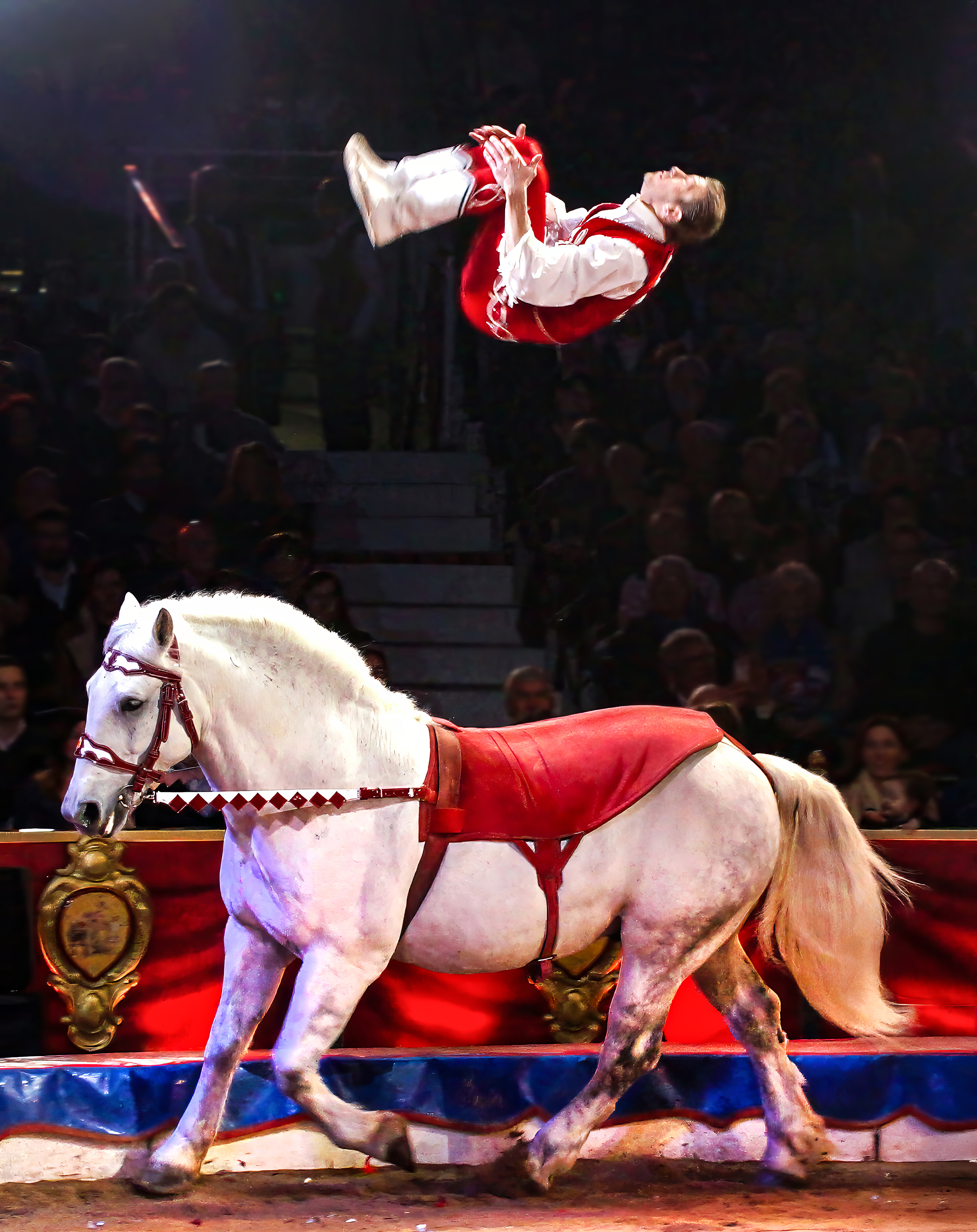 ANMELDELSE: Cirkus Arena 2026 - KULTURINFORMATION